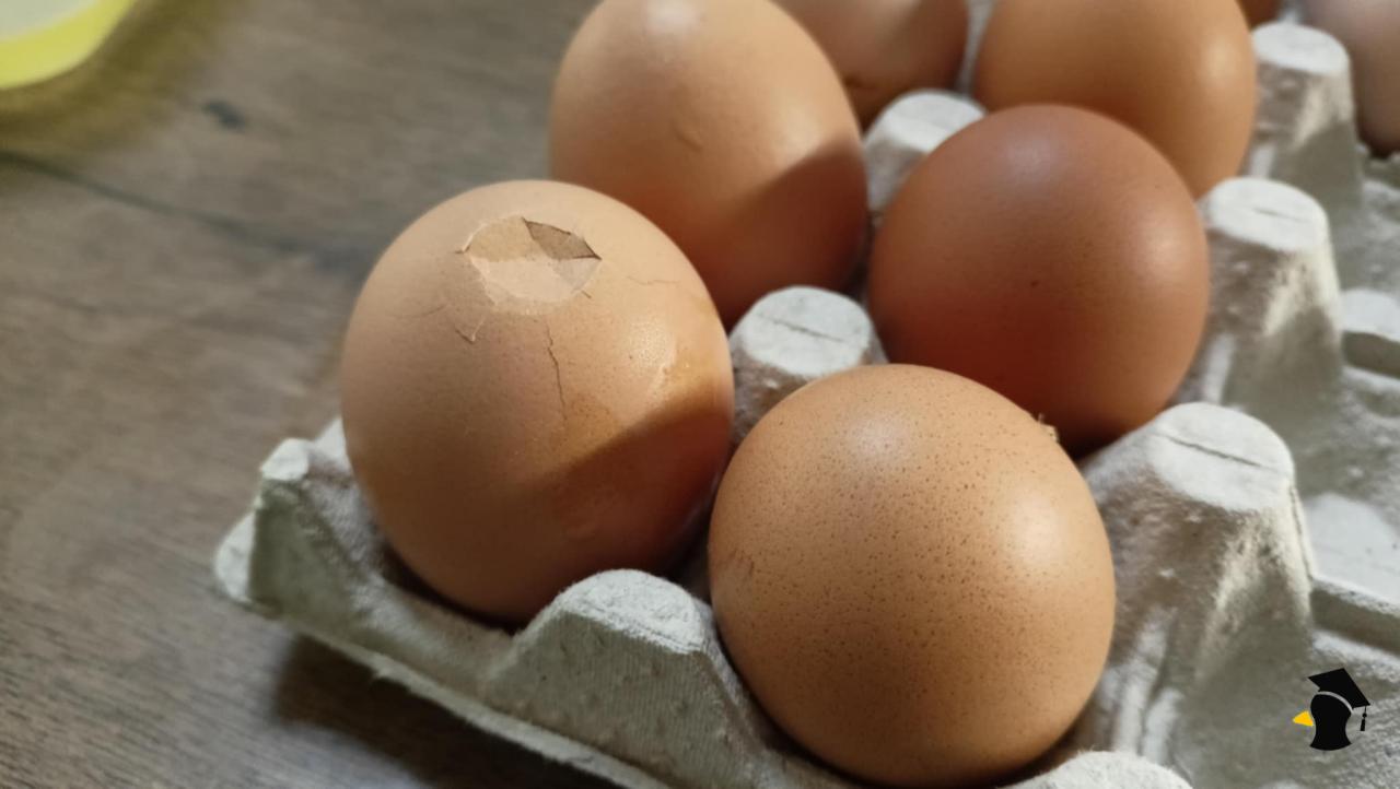 Volalo ti neznámé číslo? Jak zjistíš, komu patří mobilní číslo ...